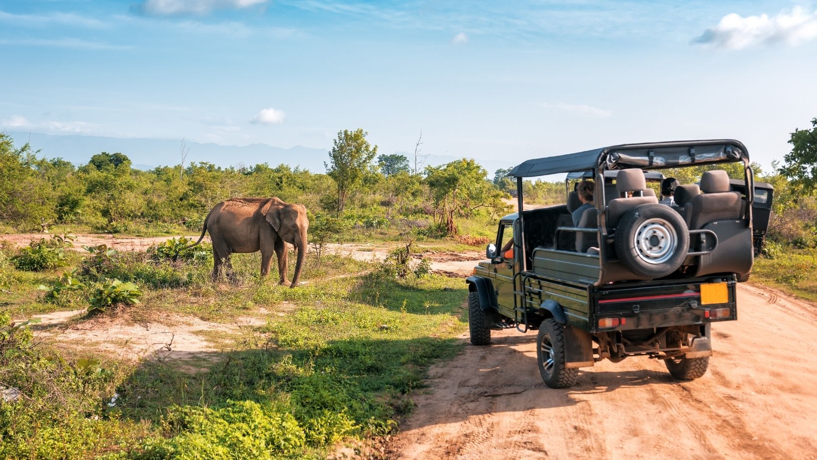 What to Pack for a Safari Adventure: 5 Items for an Unforgettable ...